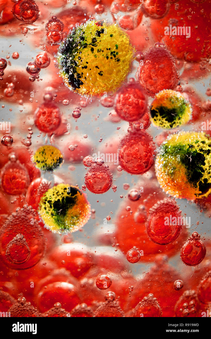 Meningitis bacteria hi-res stock photography and images - Alamy