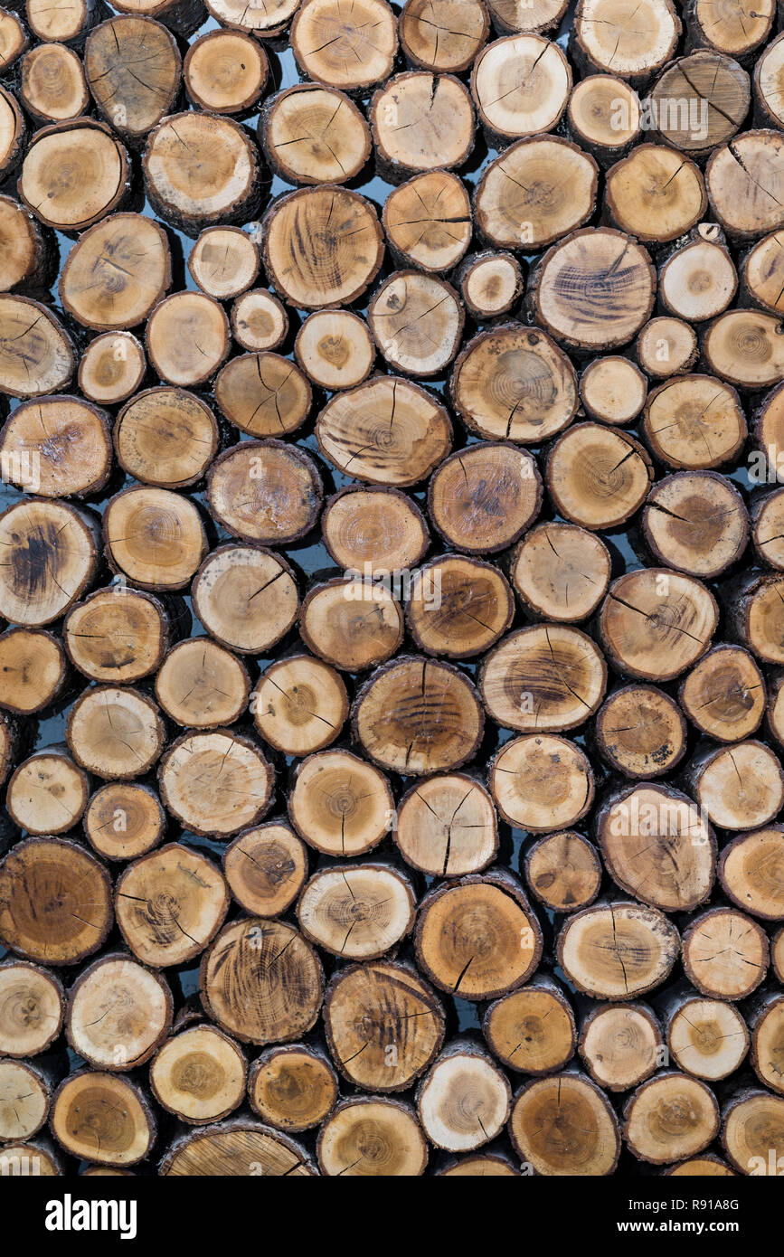 Stacked wood logs as texture, background Stock Photo - Alamy