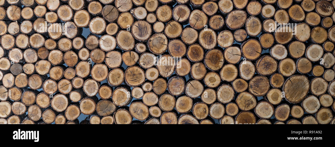 Wood stack panorama hi-res stock photography and images - Alamy