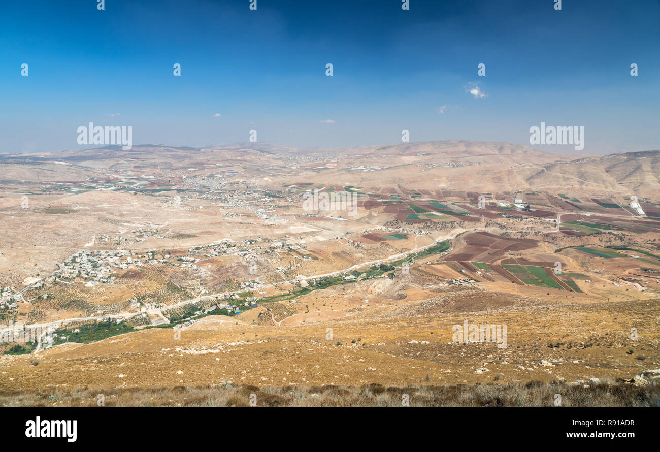 Tirzah hi-res stock photography and images - Alamy