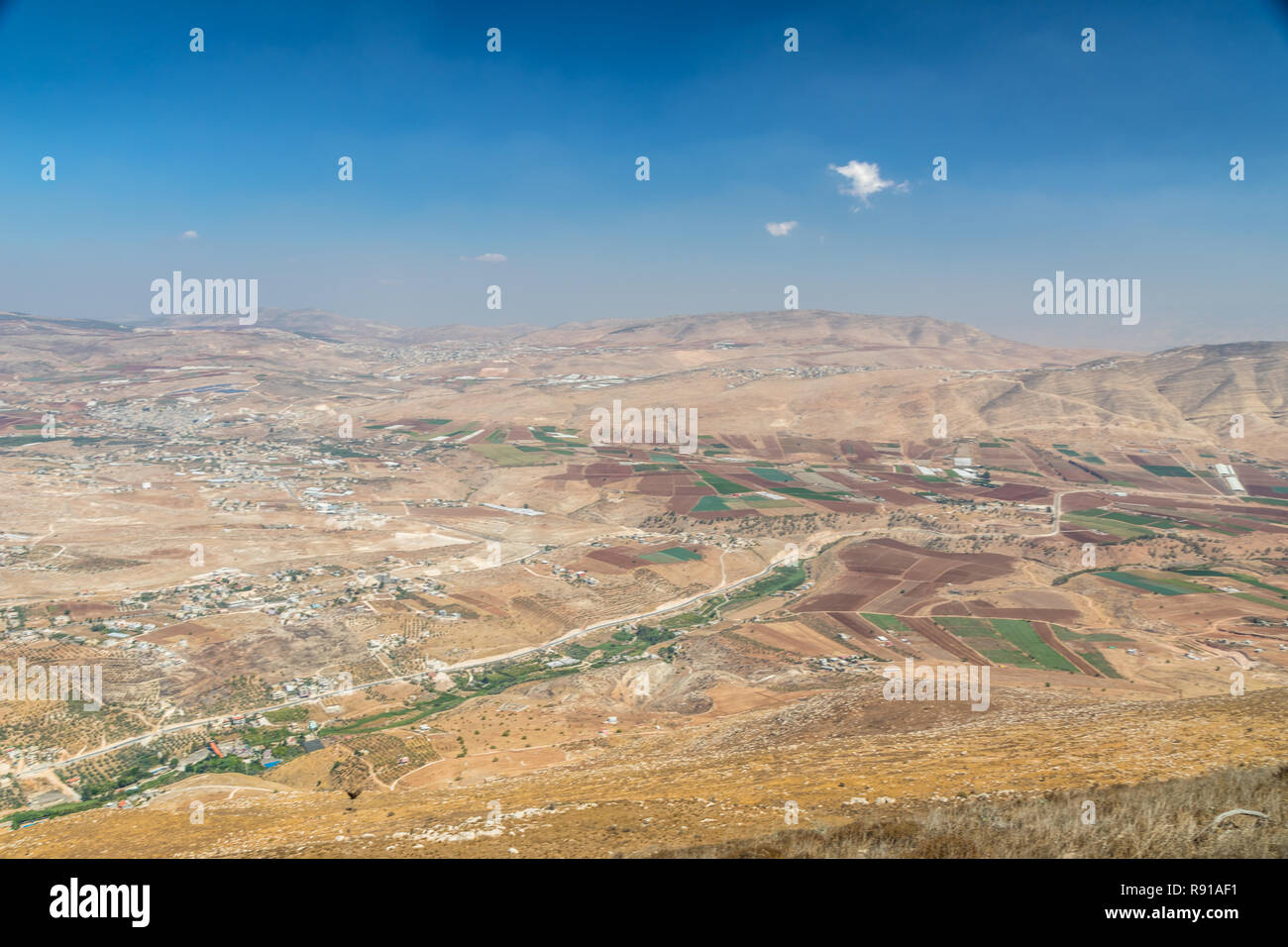 Tirzah hi-res stock photography and images - Alamy