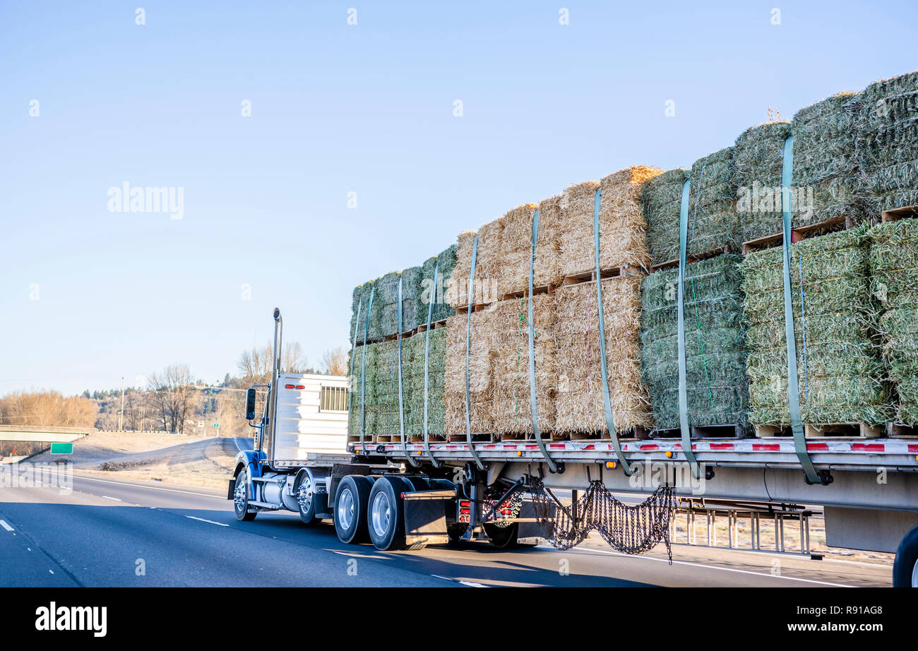 Blue big rig day cab classic American bonnet semi truck tractor with ...