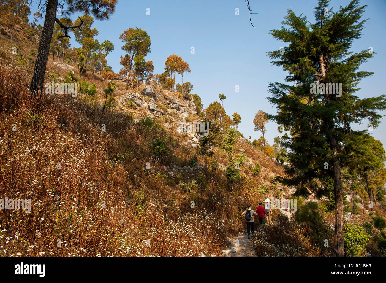 Forest road near Kala Agar village, many times mentioned by Jim Corbet ...