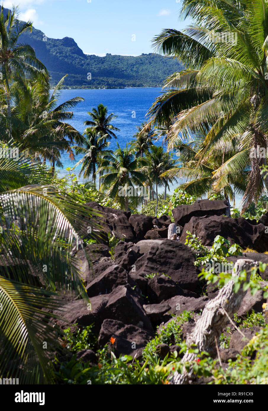 Blue lagoon of island Bora Bora, Polynesia. Mountains, the sea, palm ...