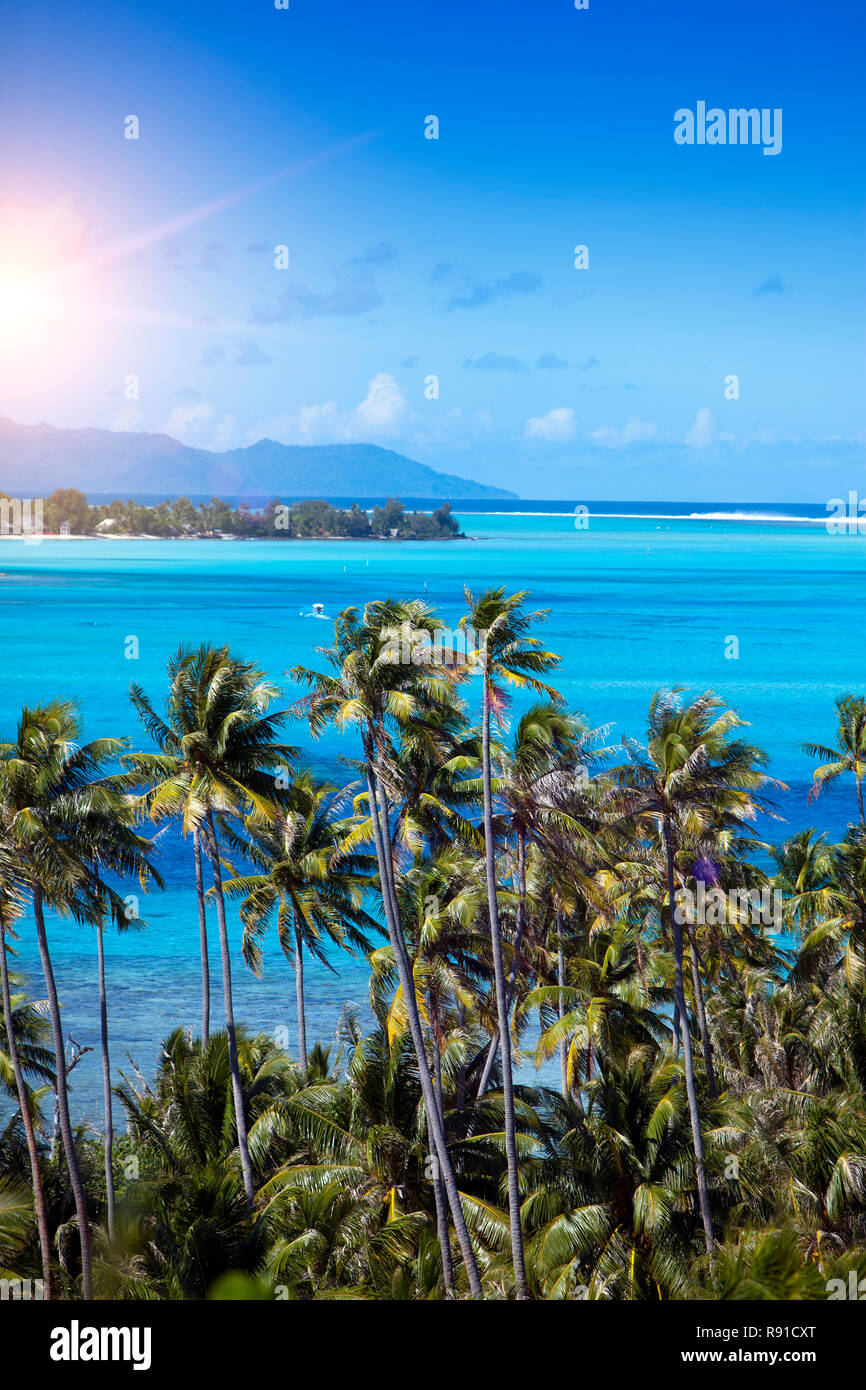 Blue lagoon of island Bora Bora, Polynesia. Mountains, the sea, palm ...