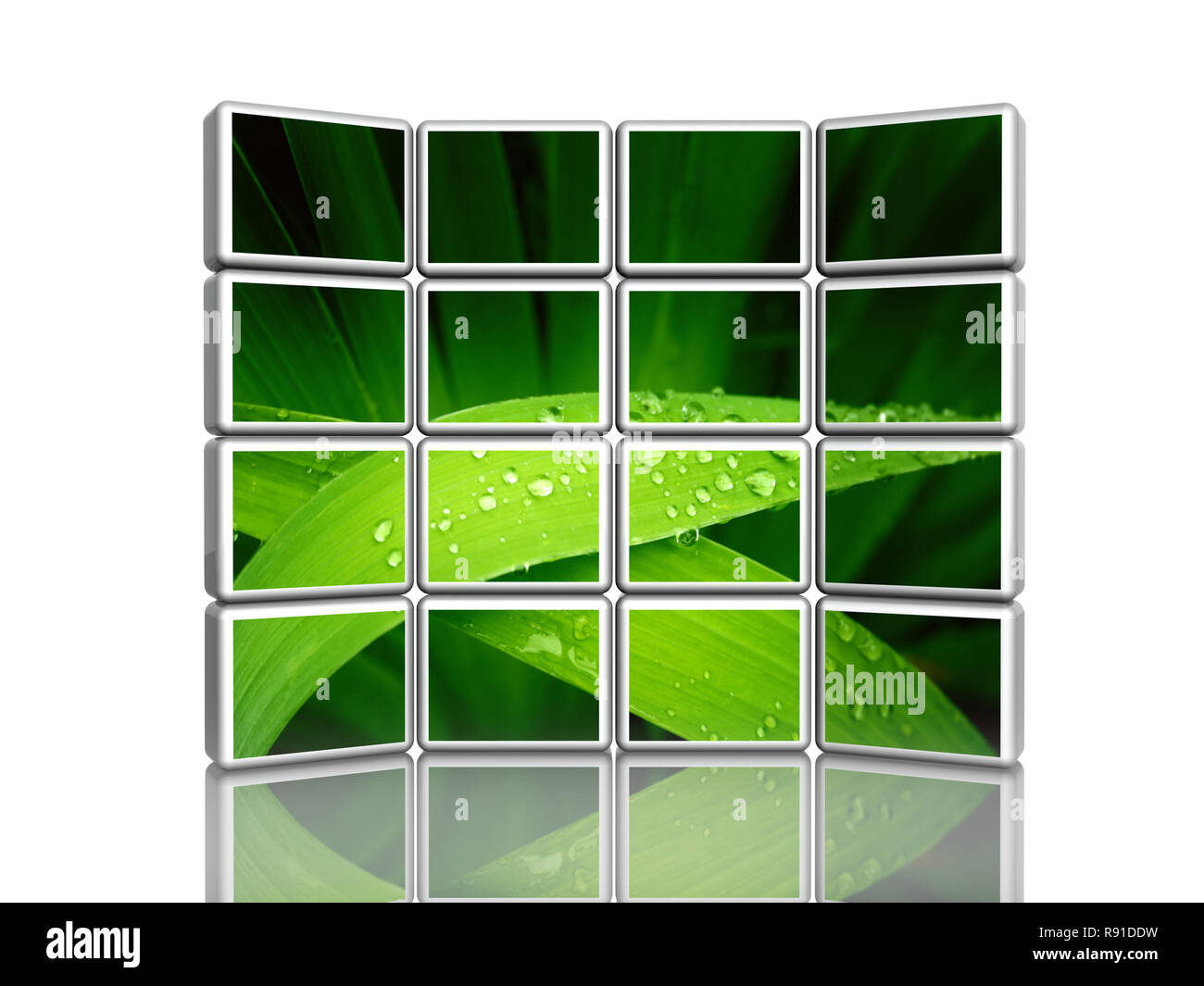 Ornamental grass screen hi-res stock photography and images - Alamy