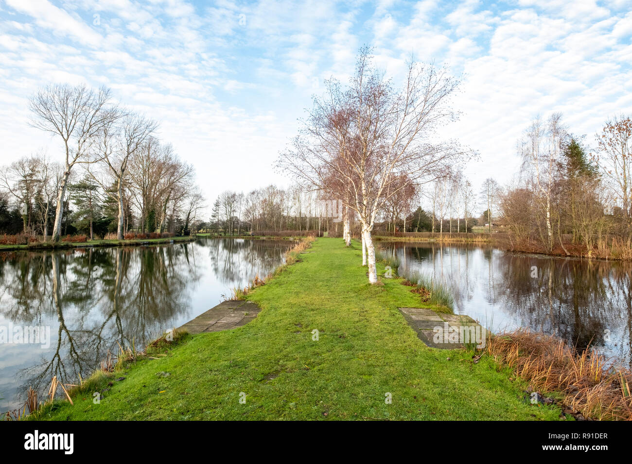 Birch Pool , home of Elworth Angling Society, Elworth Sandbach Cheshire ...