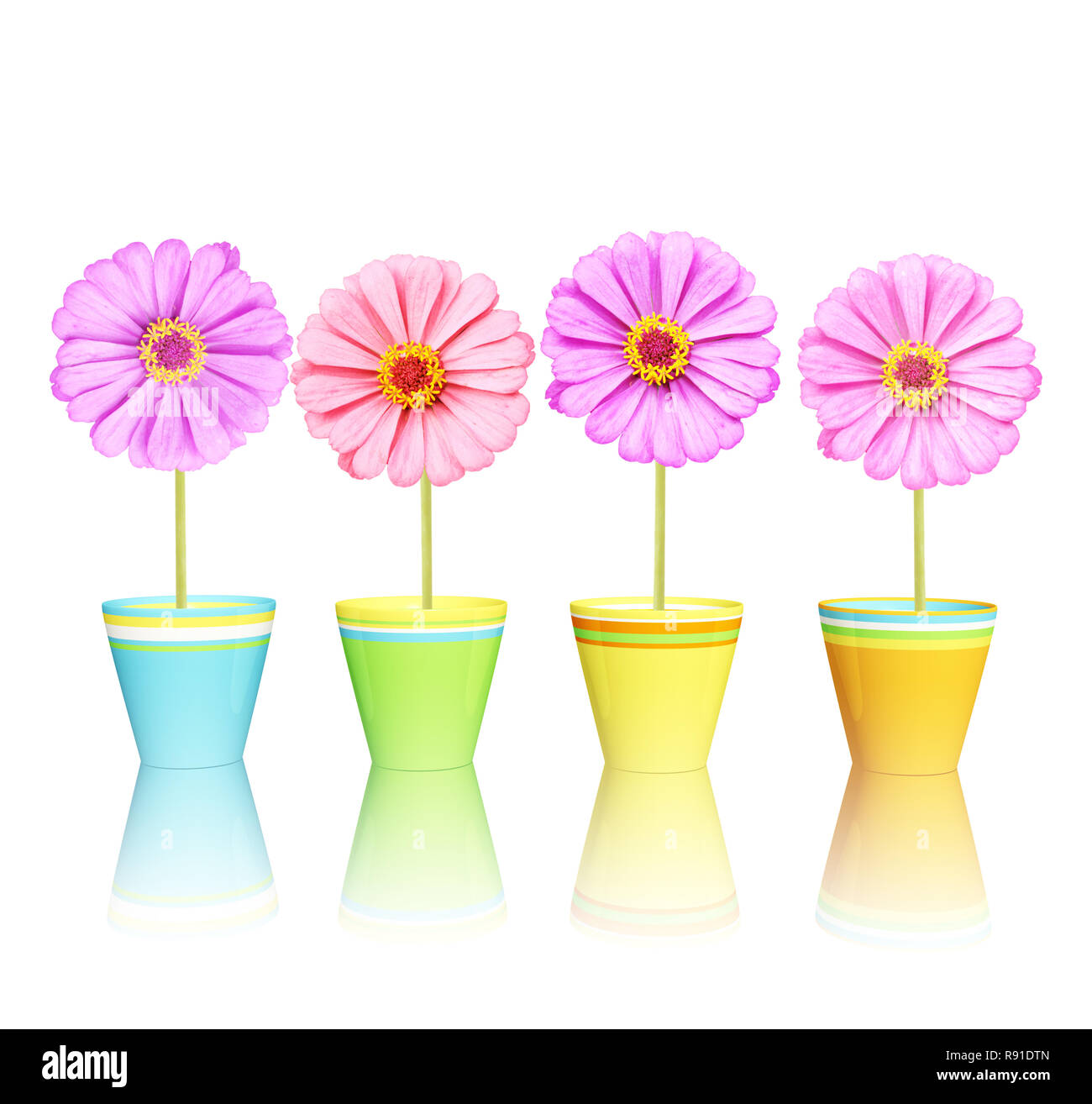 Flowers in pots - objects over white Stock Photo - Alamy