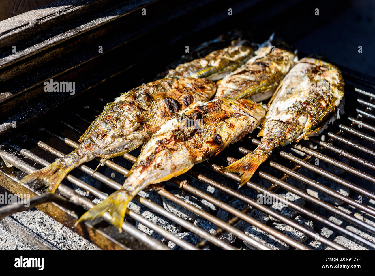 Grilling fish on a bbq barbecue grill over hot coal. Preparing and ...