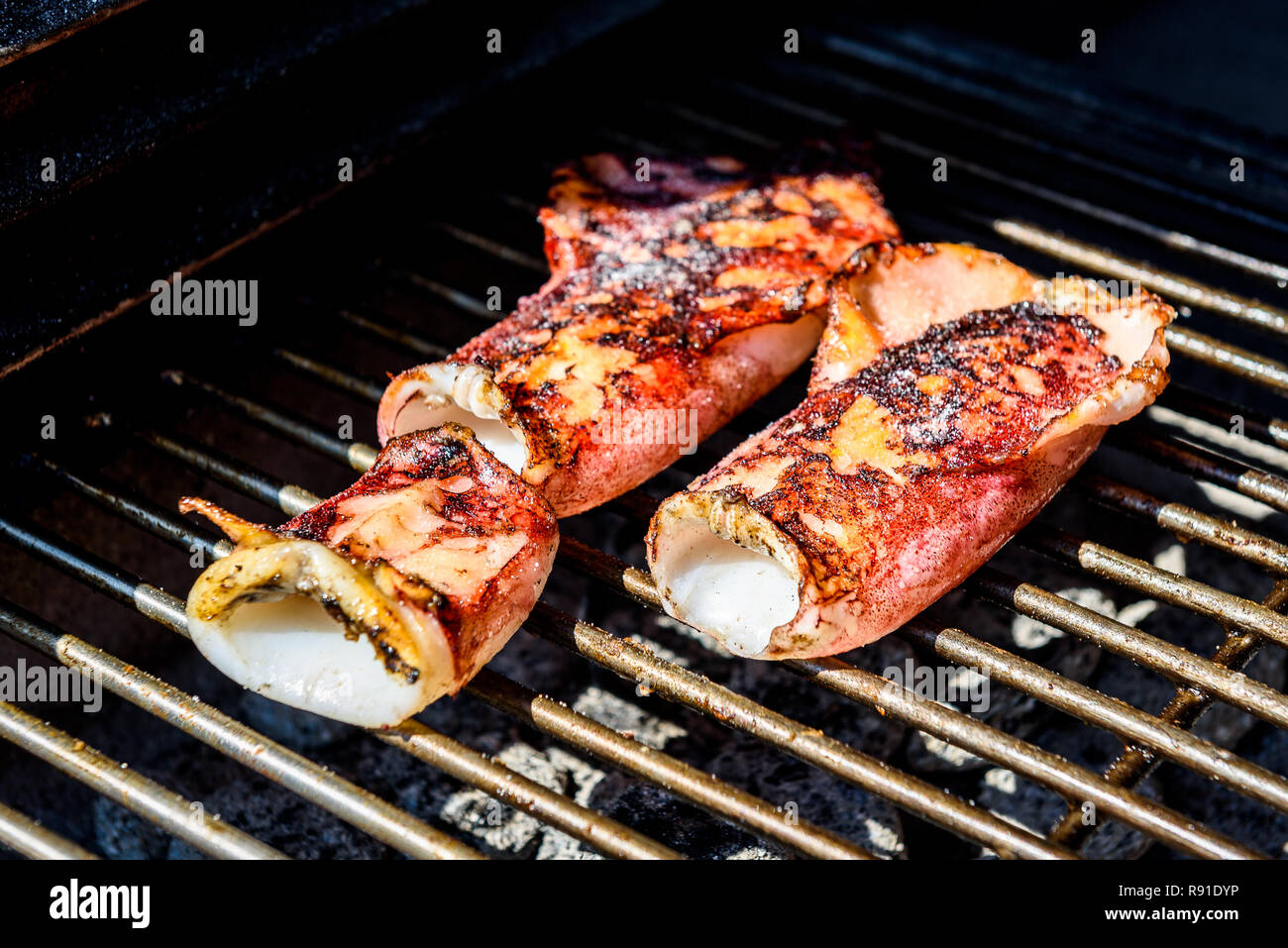 Grilling squid or cuttlefish on a coal barbecue grill. Traditional ...