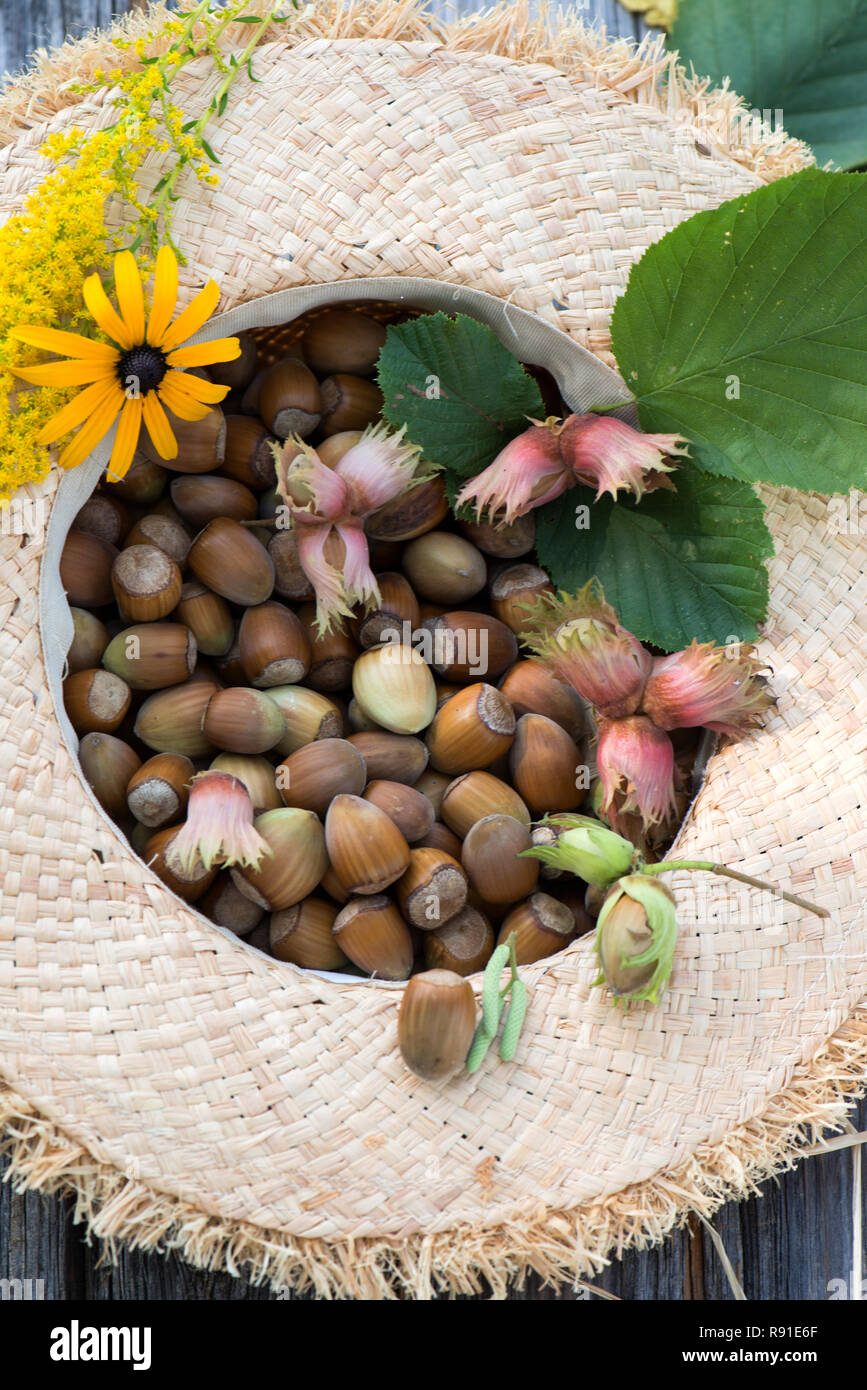 Straw hat with hazelnuts Stock Photo - Alamy
