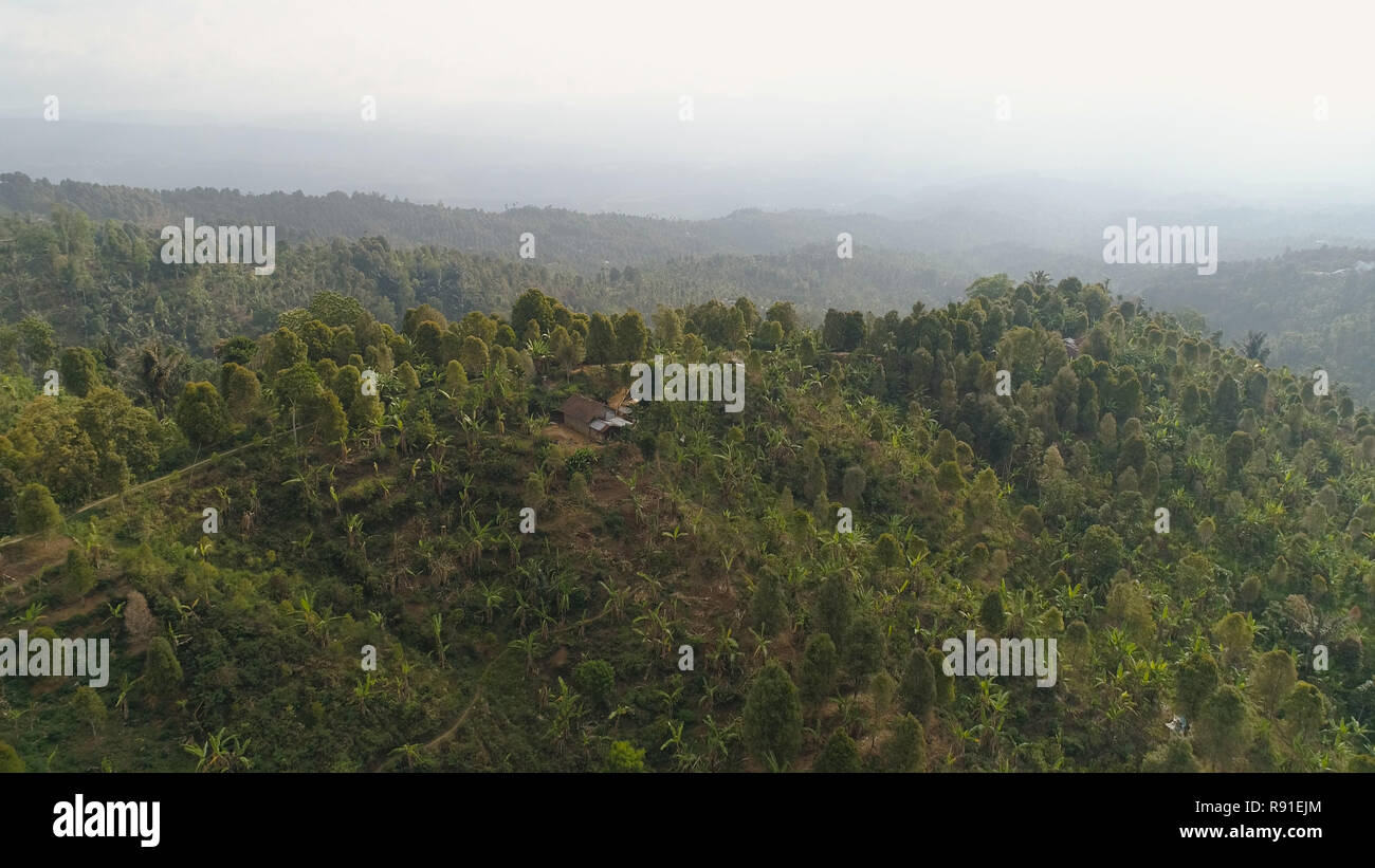 tropical forest in mountains with farmlands, village, fields with crops ...