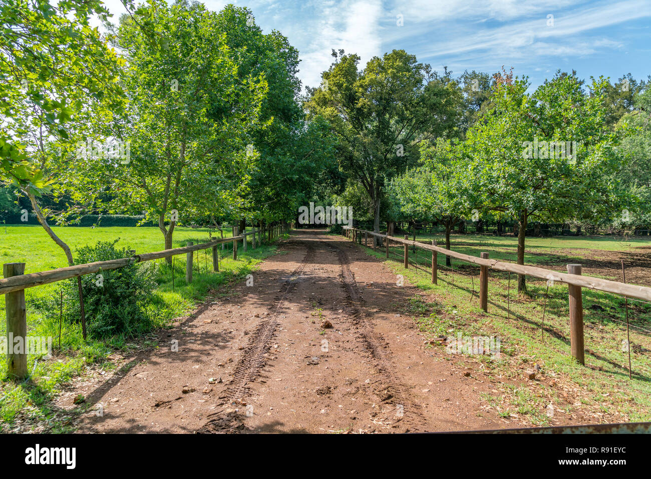 Irene Dairy Farm is a working dairy farm in Irene, Pretoria, where ...