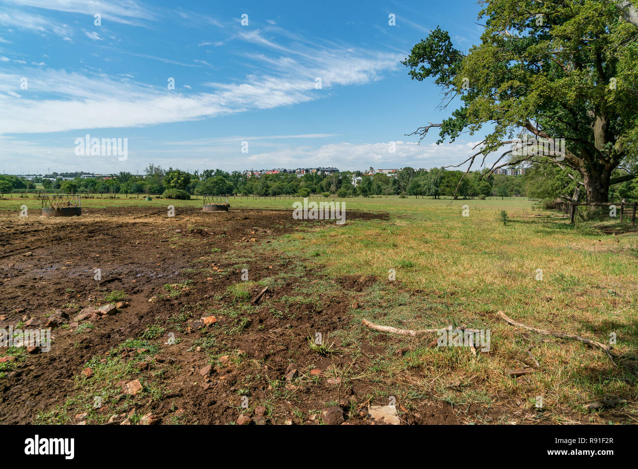 Irene Dairy Farm is a working dairy farm in Irene, Pretoria, where ...