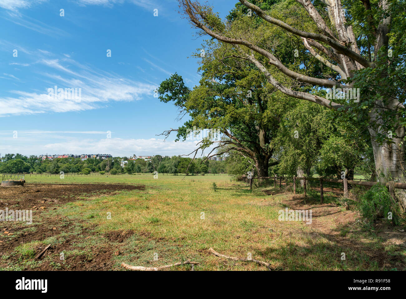 Irene Dairy Farm is a working dairy farm in Irene, Pretoria, where ...