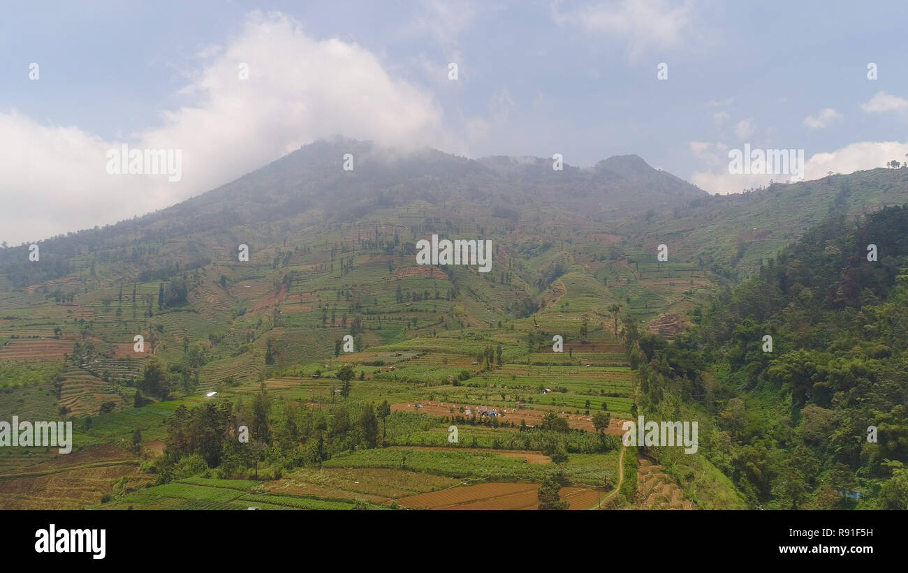 agricultural land in mountains fields with crops, trees. Aerial view ...