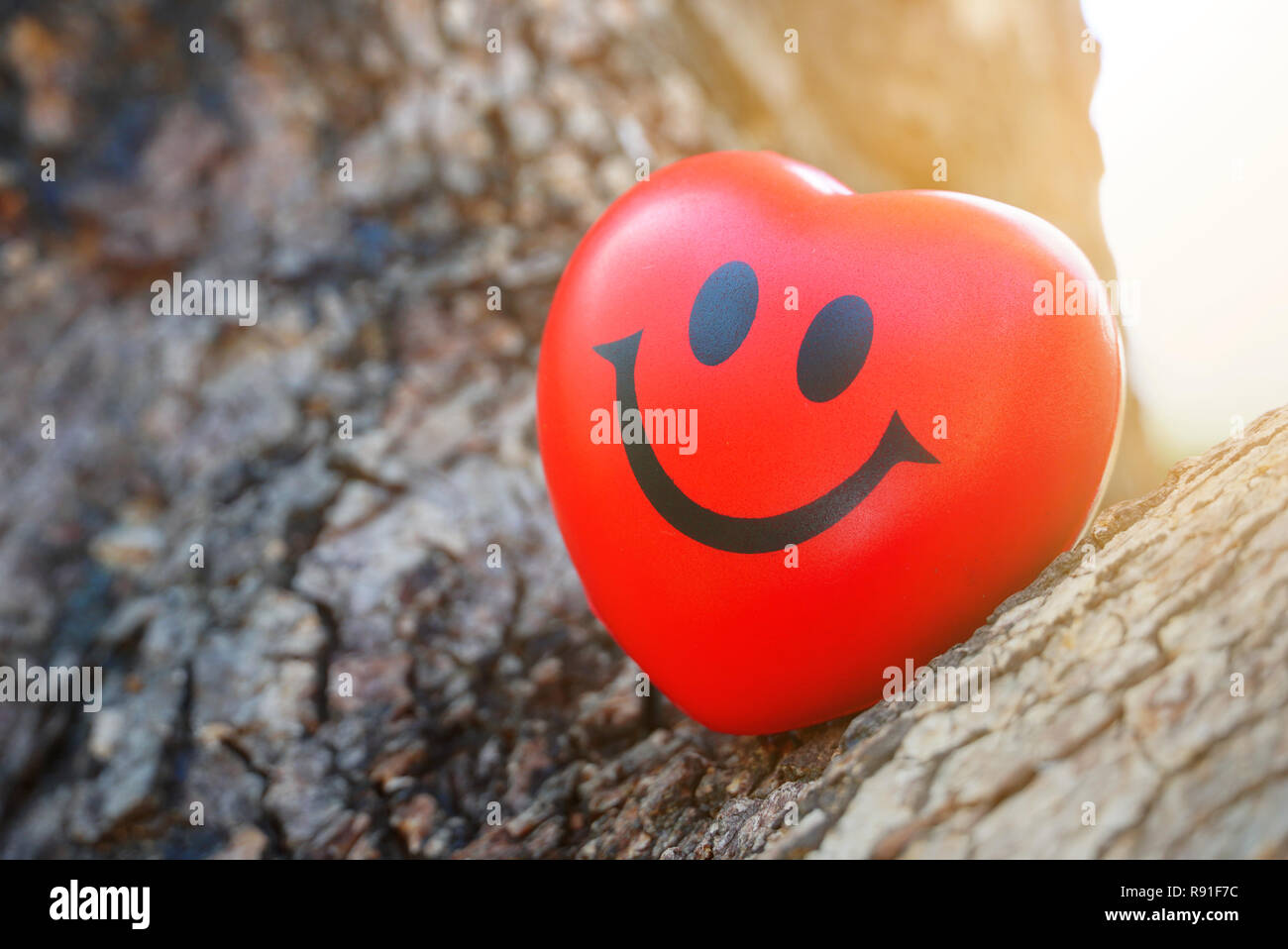 Red heart smile face lay on the tree with sunlight from background ...