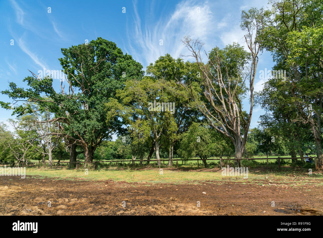 Irene Dairy Farm is a working dairy farm in Irene, Pretoria, where ...