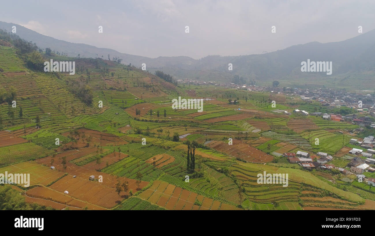 agricultural land in mountains fields with crops, trees. Aerial view ...