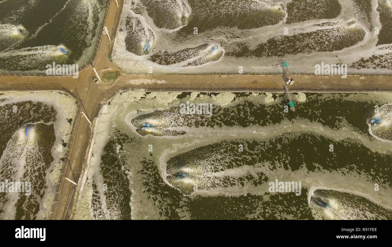 Prawn farming hi-res stock photography and images - Alamy