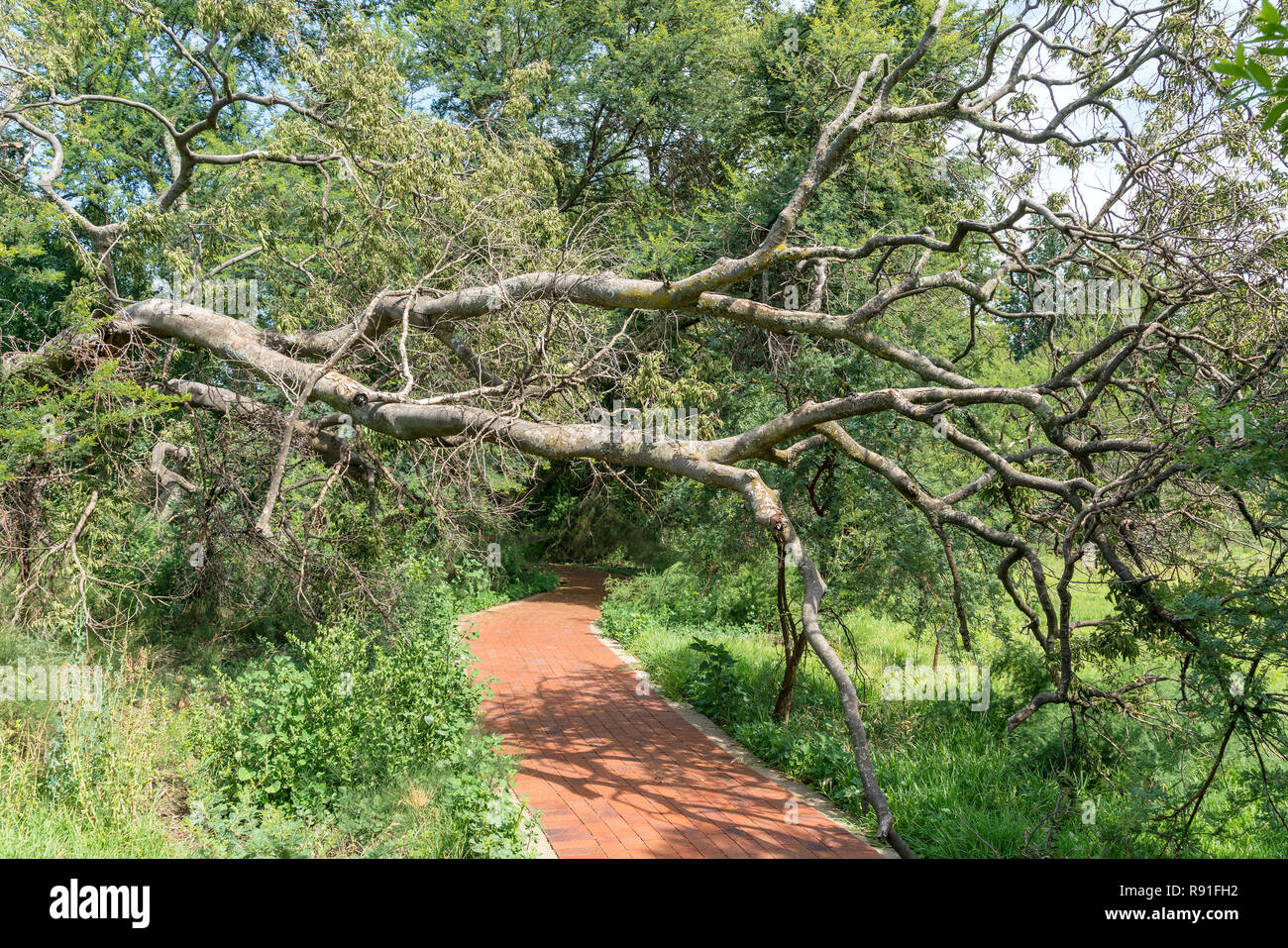 Irene Dairy Farm is a working dairy farm in Irene, Pretoria, where ...
