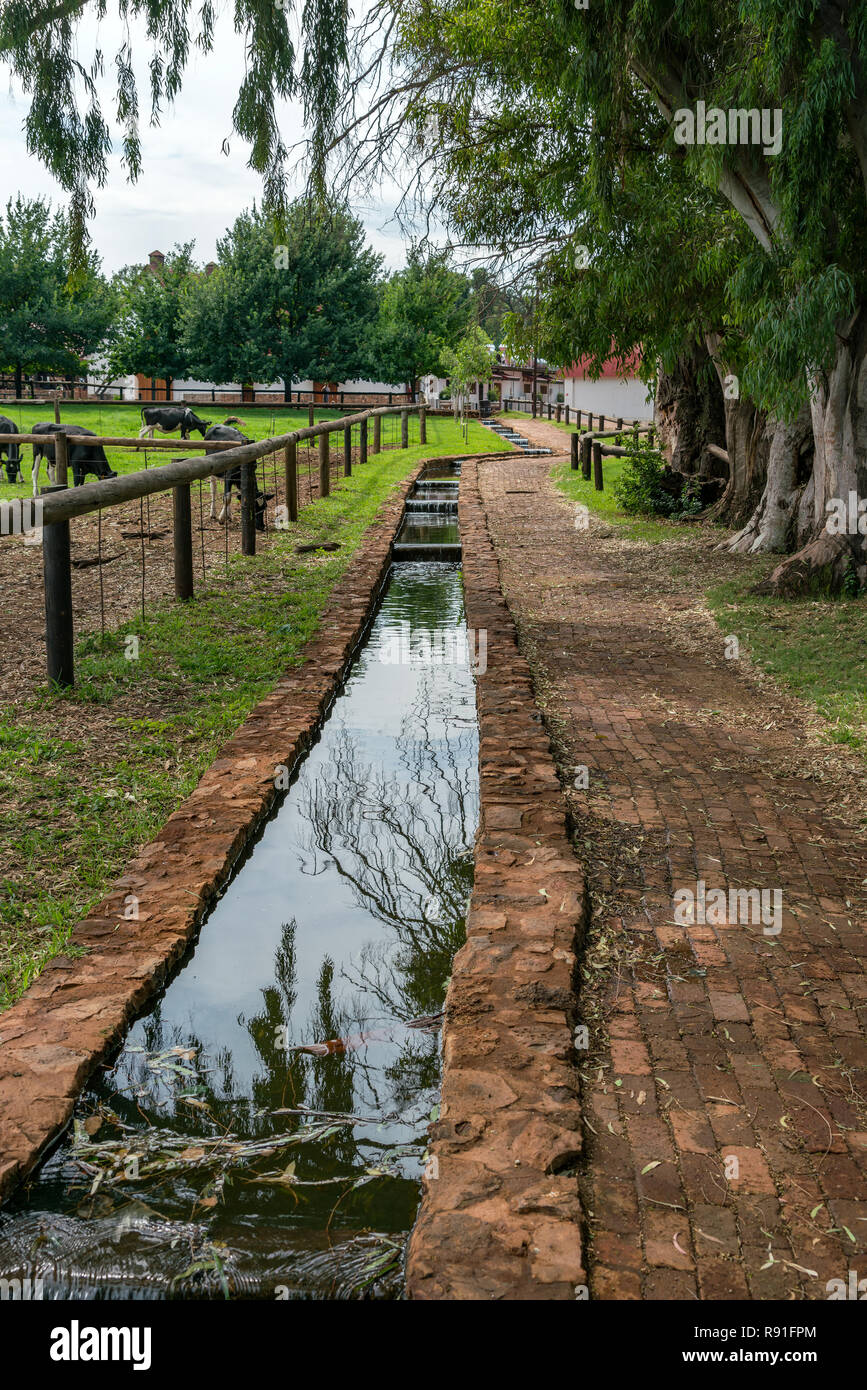 Irene Dairy Farm is a working dairy farm in Irene, Pretoria, where ...