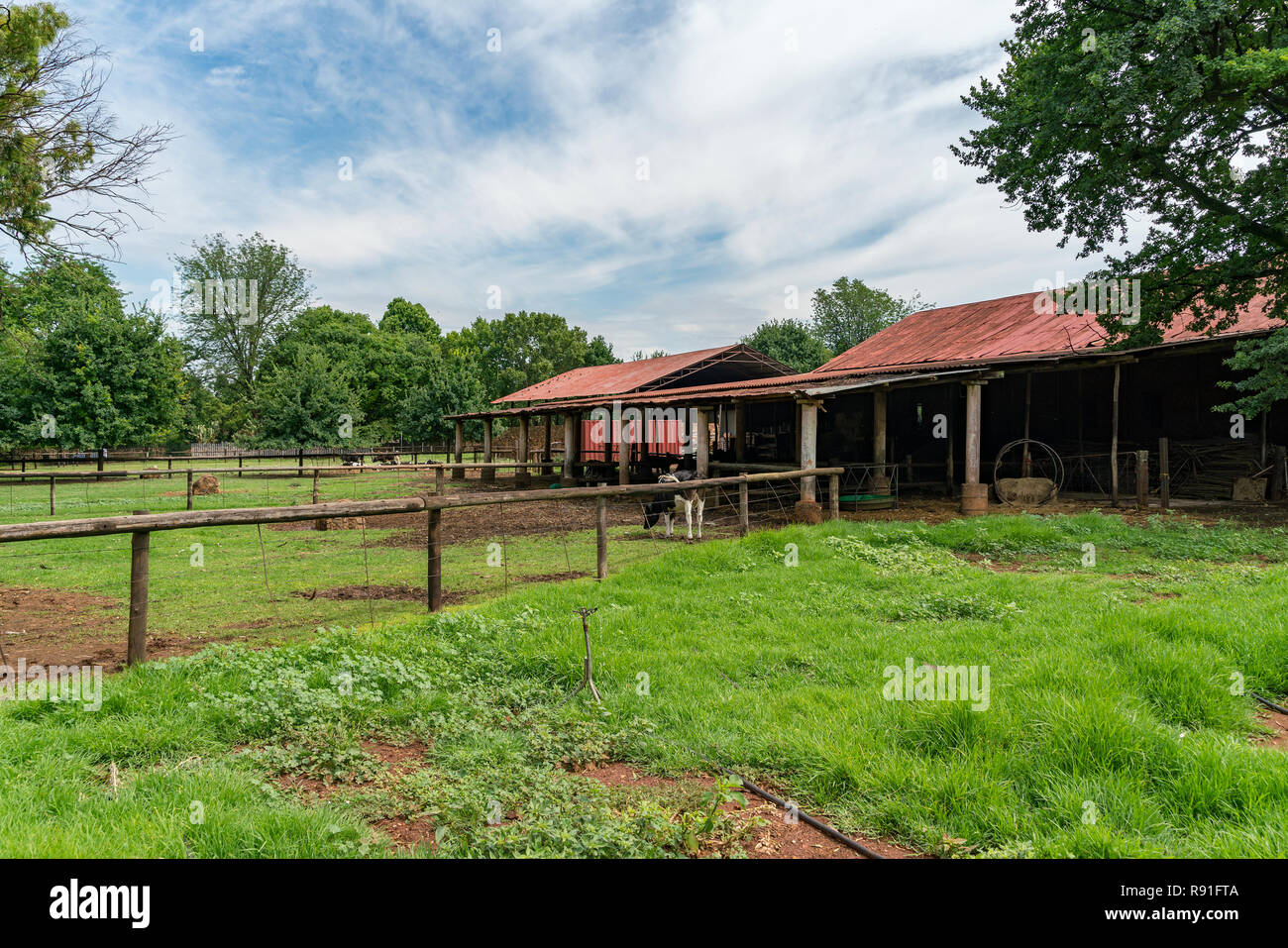 Irene Dairy Farm is a working dairy farm in Irene, Pretoria, where ...