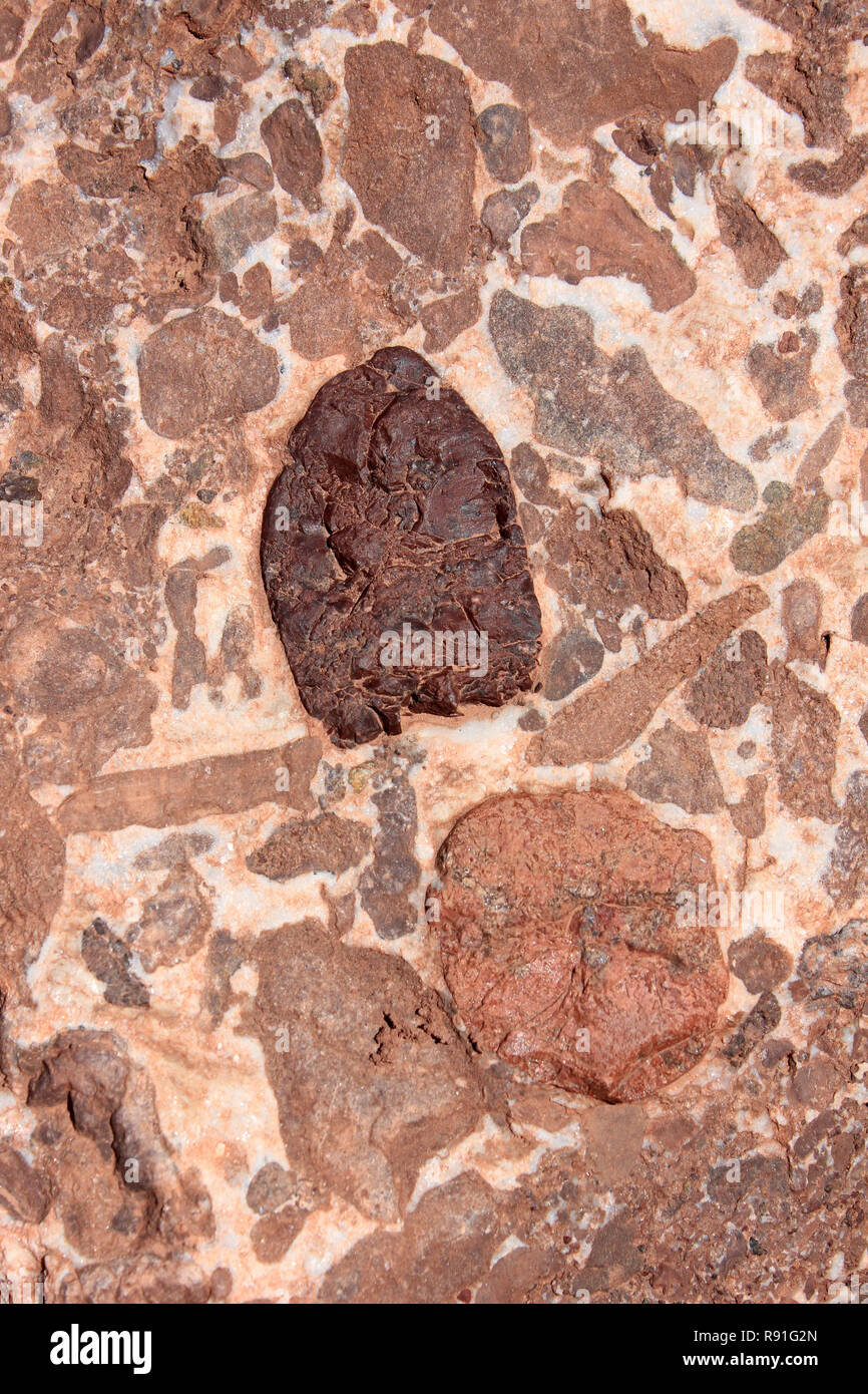 Conglomerate sedimentary rock hi-res stock photography and images - Alamy