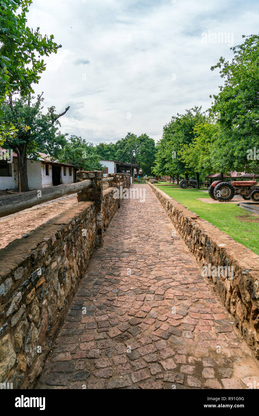 Irene Dairy Farm is a working dairy farm in Irene, Pretoria, where ...