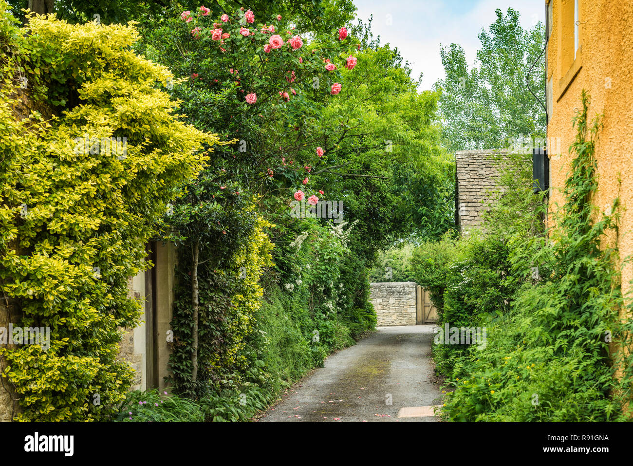 Village lane with buildings hi-res stock photography and images - Alamy