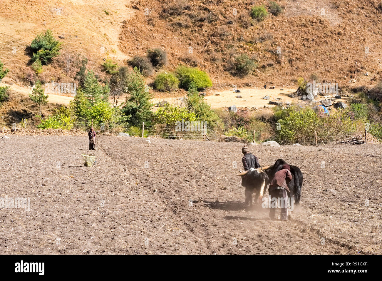 Ploughing methods hi-res stock photography and images - Alamy