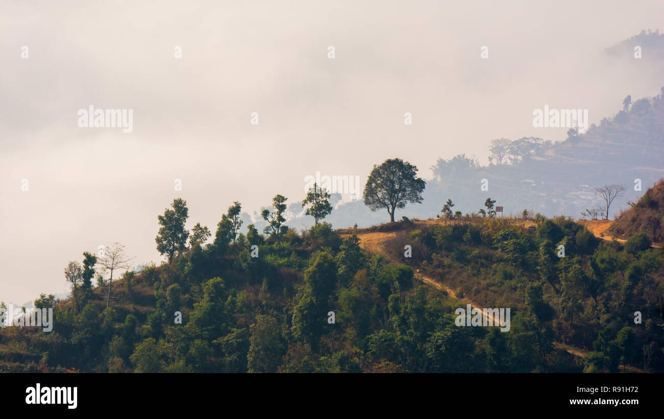 Aerial hill tree view of low clouds seen from above Stock Photo - Alamy