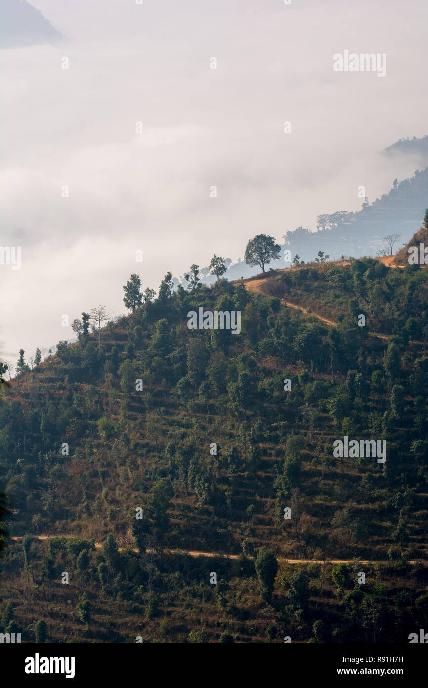 Hill tree view hi-res stock photography and images - Alamy