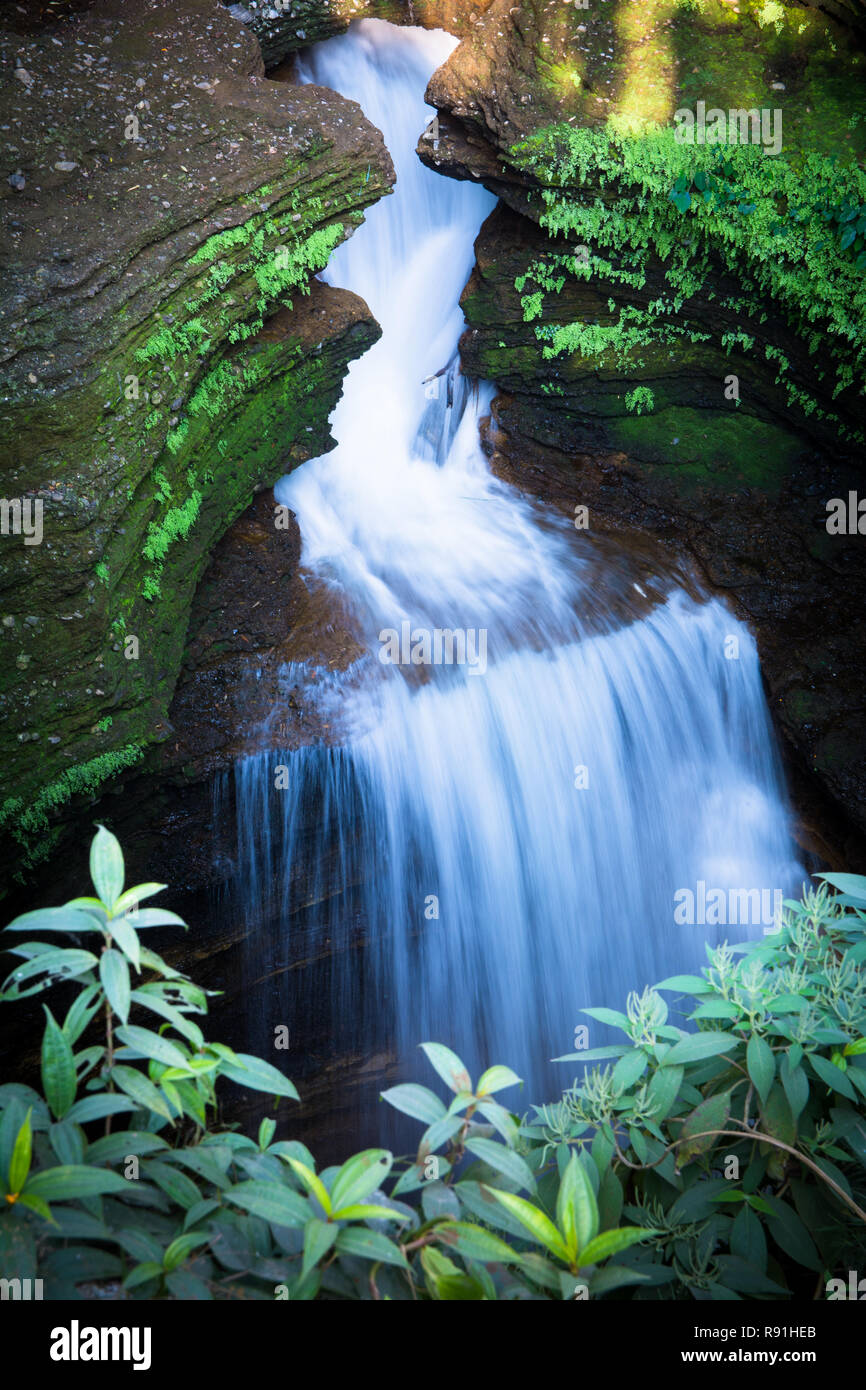 Davis falls hi-res stock photography and images - Alamy