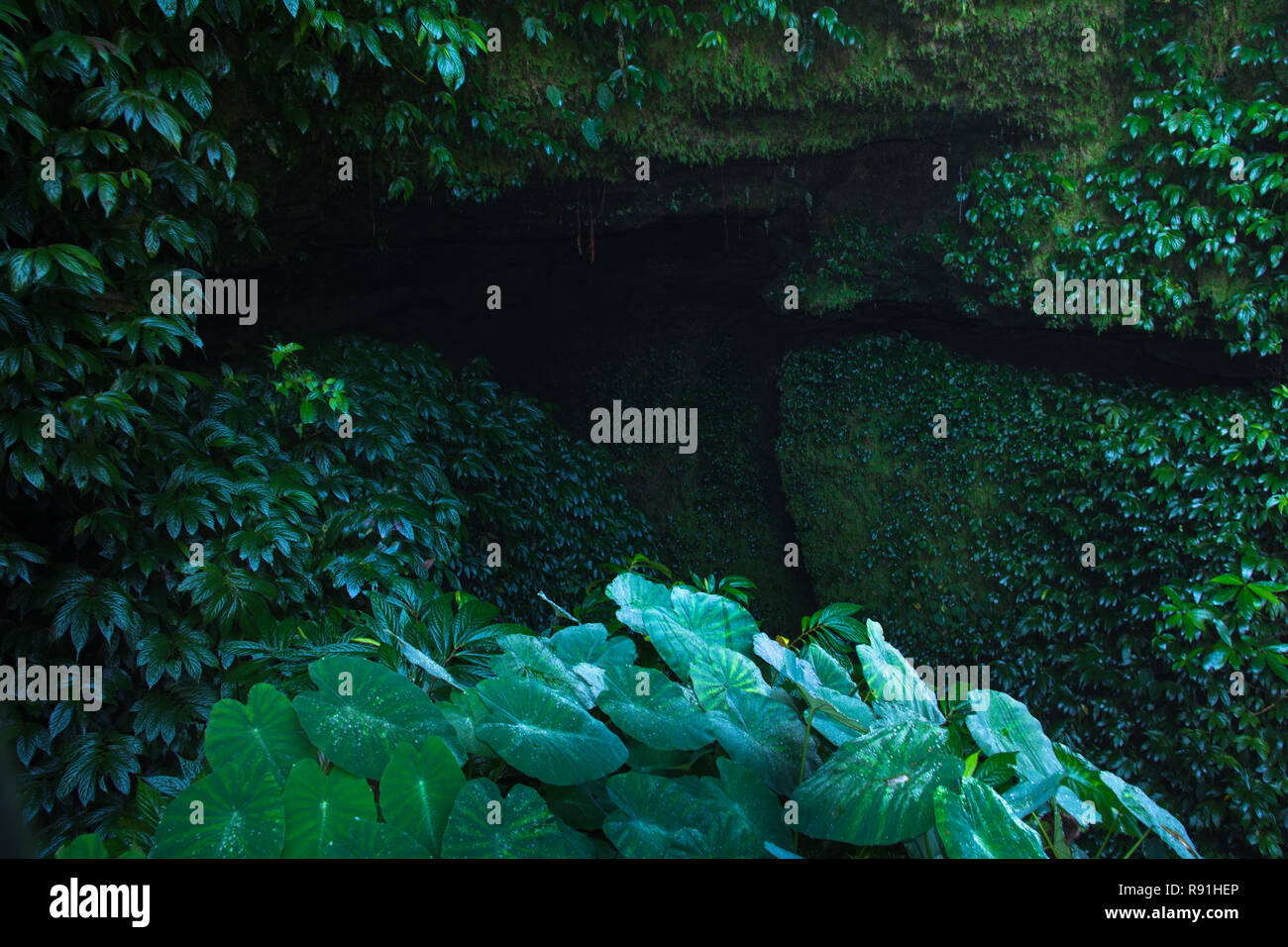 Green cave hi-res stock photography and images - Alamy