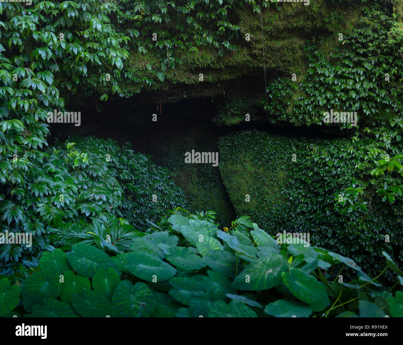Green cave at Davis fall from Pokhara Nepal Stock Photo - Alamy