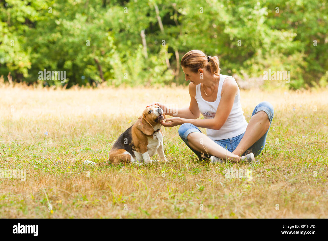 Picture of nice-looking woman with her well-bred dog Stock Photo - Alamy