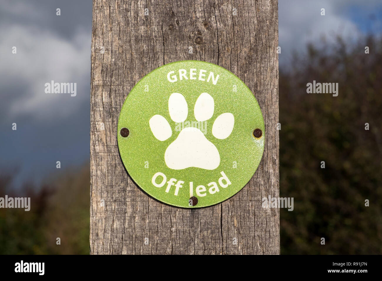 Green off lead sign on the Hayling Billy Trail, Hayling Island ...