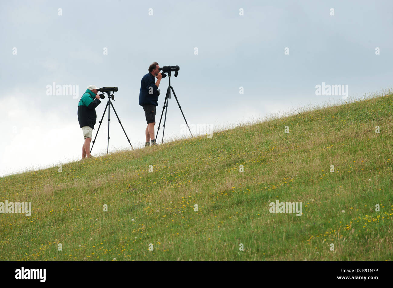 Conservation ranger europe hi-res stock photography and images - Alamy