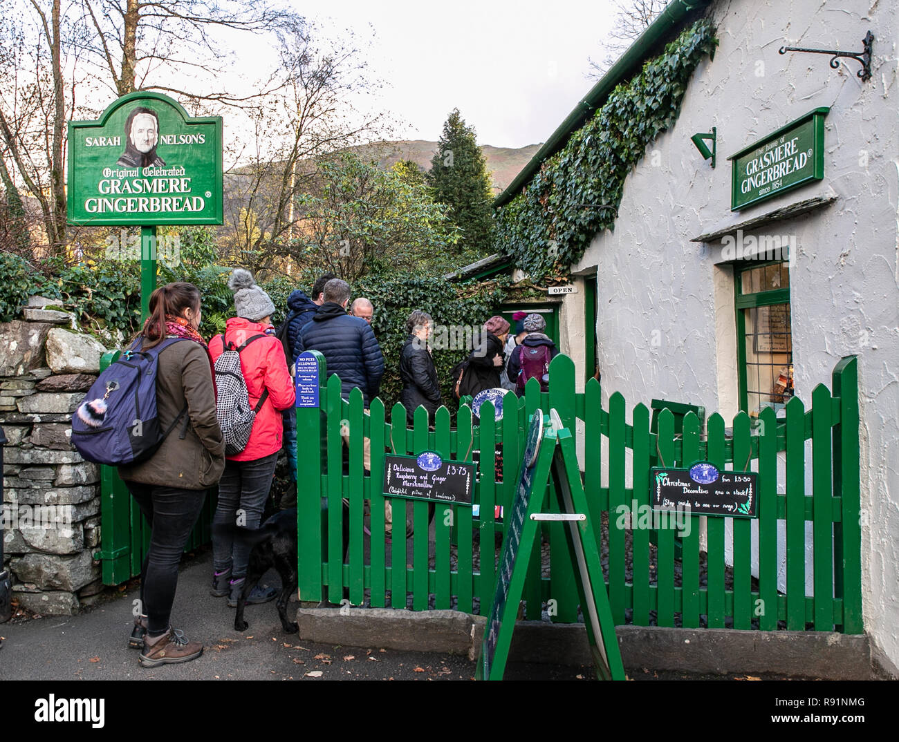 Sarah Nelson Original Celebrated High Resolution Stock Photography and ...