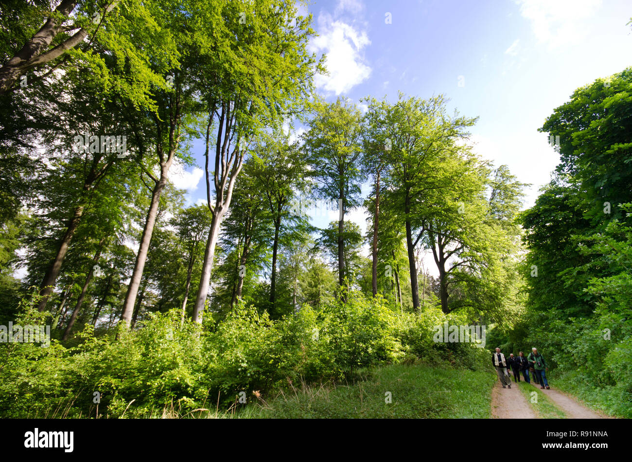 Handewitt country and its people hi-res stock photography and images ...