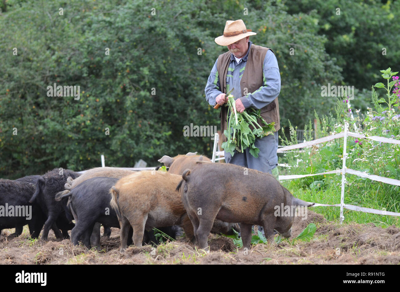 Antje farmer hi-res stock photography and images - Alamy