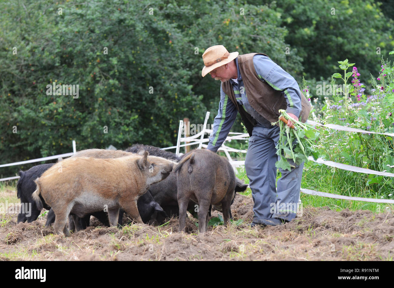 Antje farmer hi-res stock photography and images - Alamy