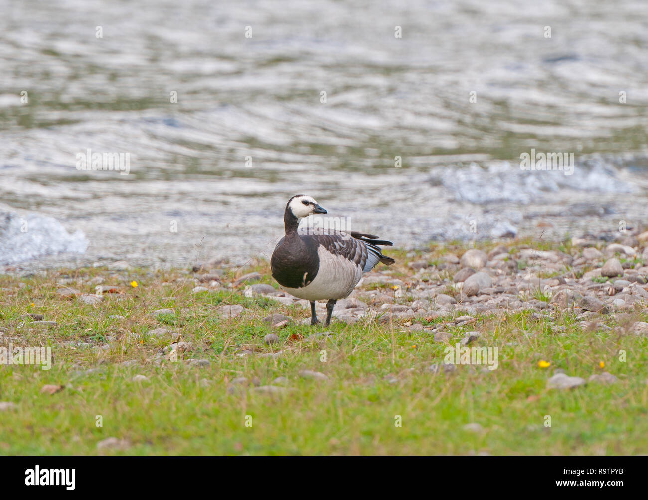 Voss lake hi-res stock photography and images - Alamy