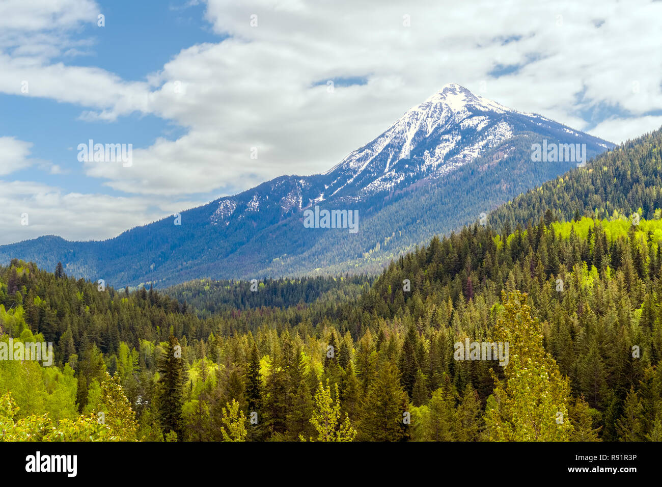 Canada forest aerial hi-res stock photography and images - Alamy