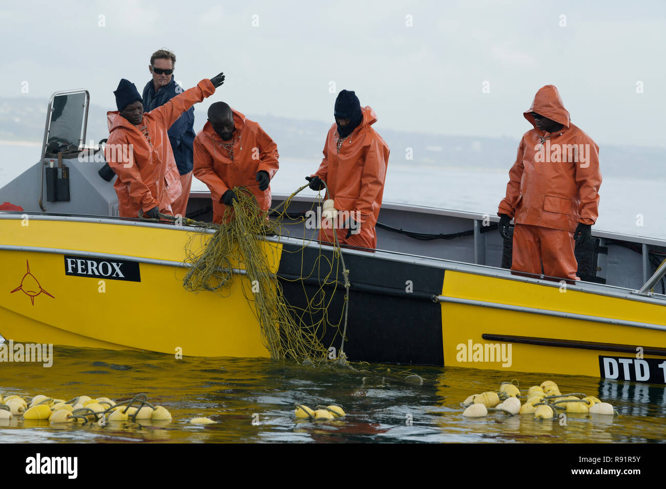 Durban, KwaZulu-Natal, South Africa, anti Shark Net Inspector directing ...