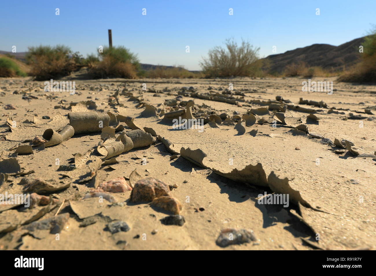 Curled dry mud Stock Photo - Alamy