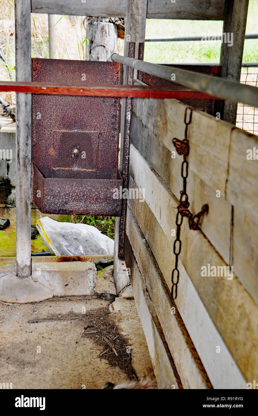Old cow bale for when milking cows hi-res stock photography and images ...