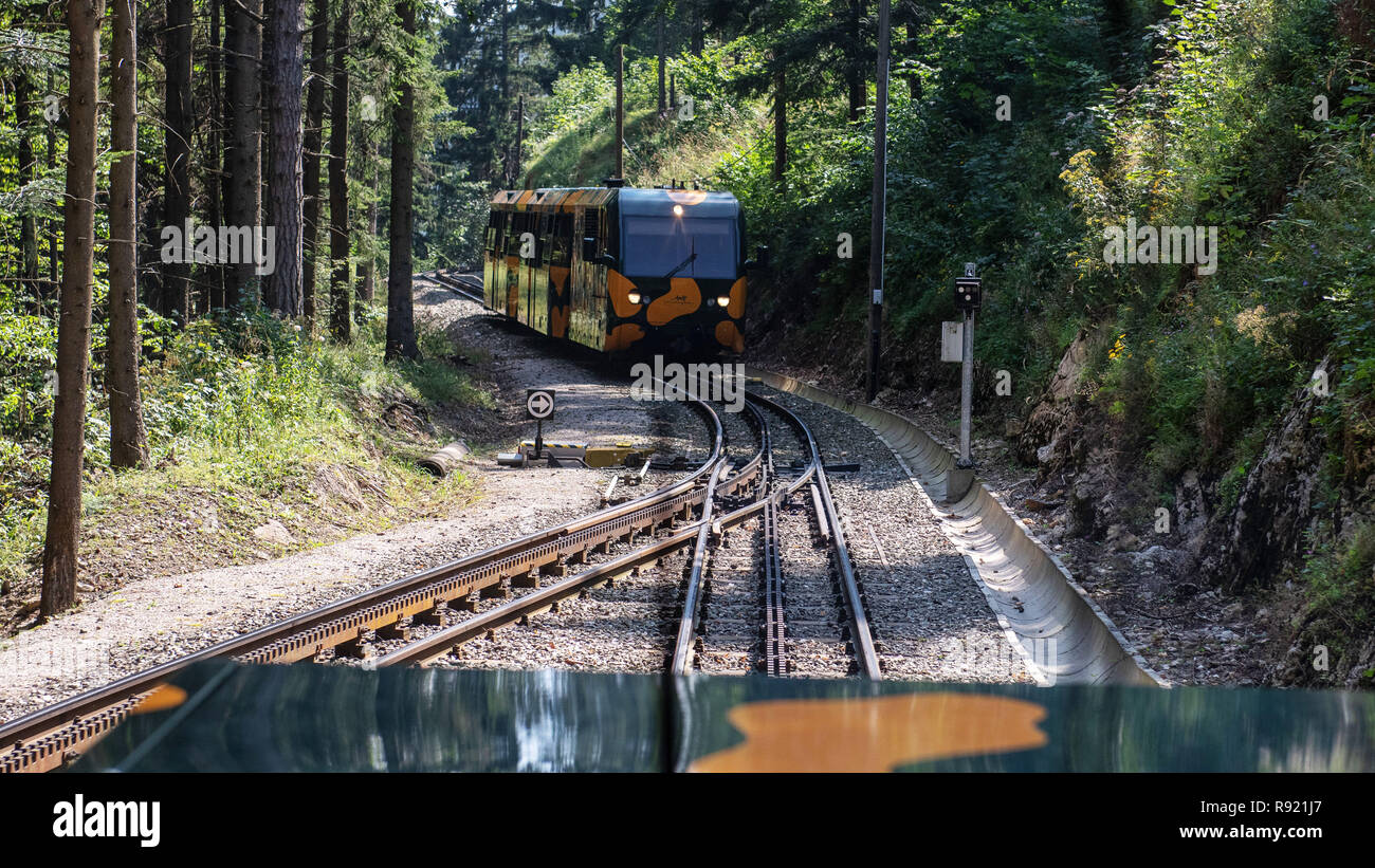 Metal salamander hi-res stock photography and images - Alamy