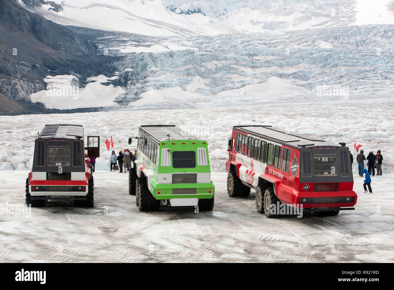 Tourist ice buggy's on the Athabasca glacier which is receding ...